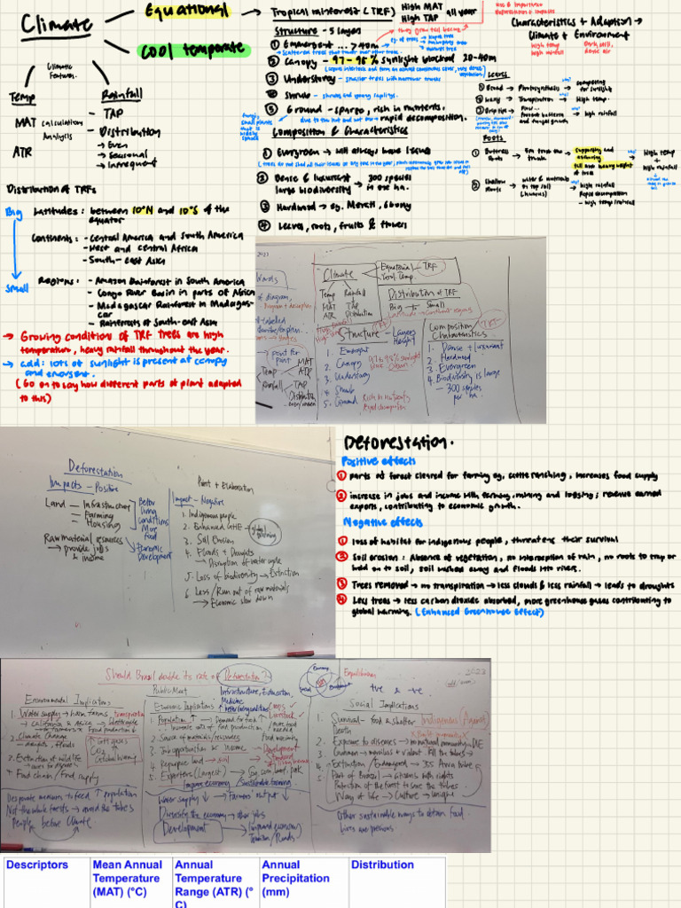 Climate and Weather Revision | PDF | Rain | Rainforest