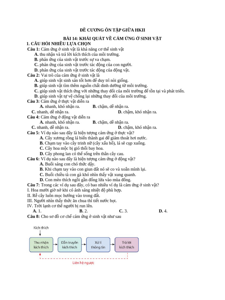 Đề Cương Ôn Tập Giữa Hkii l11 | PDF
