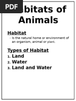 Natural Disasters Notes Grade 3 To 6 | PDF | Natural Disasters ...