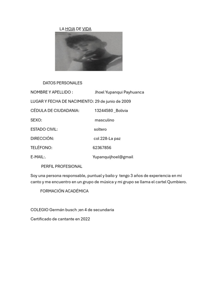 Hoja de Vida de Jhoel Yupanqui | PDF
