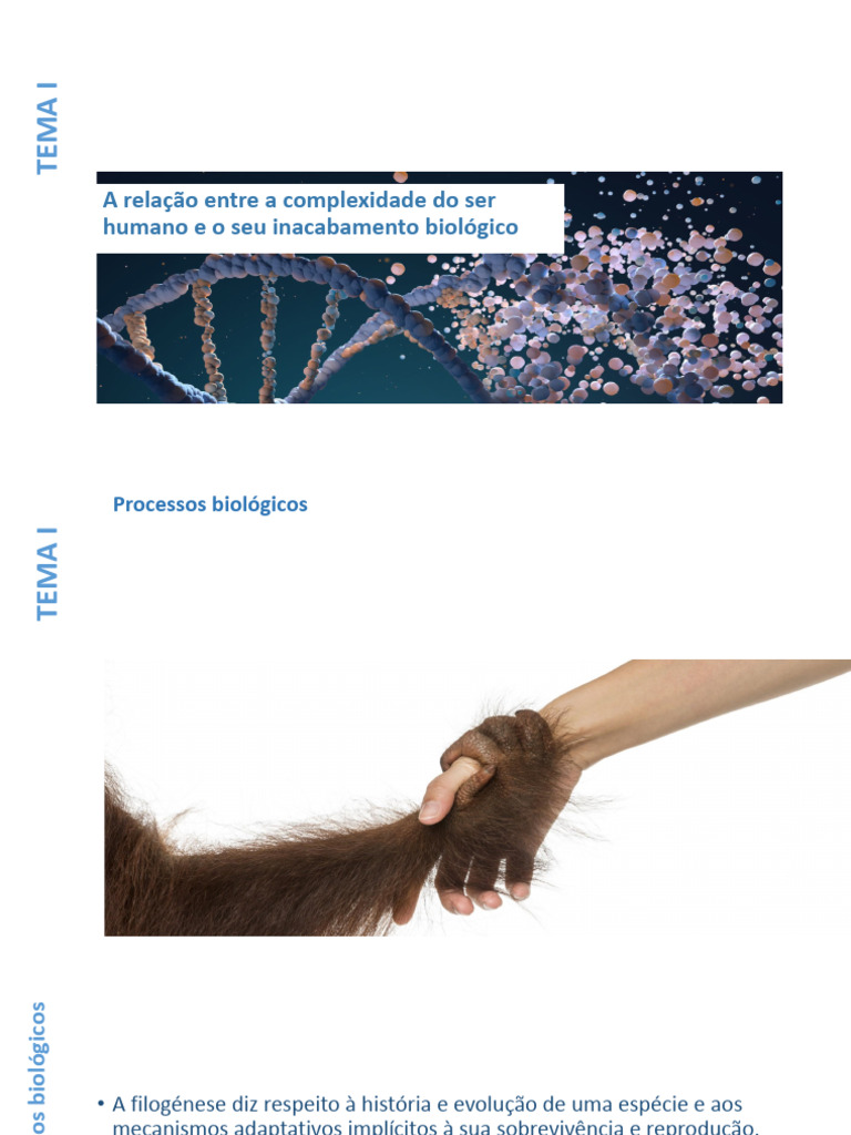 Filogênese e Ontogênese do Ser Humano | PDF | Biologia | Humano