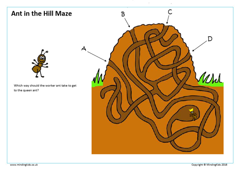 Ant in The Hill Maze | PDF