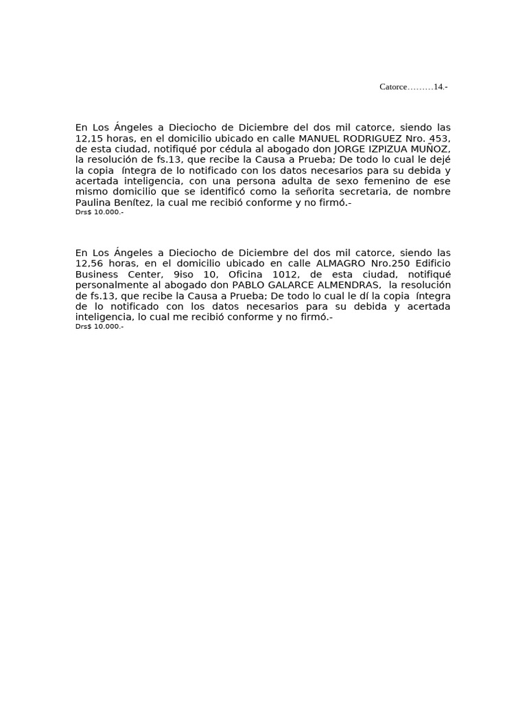 Catorce 14 | PDF