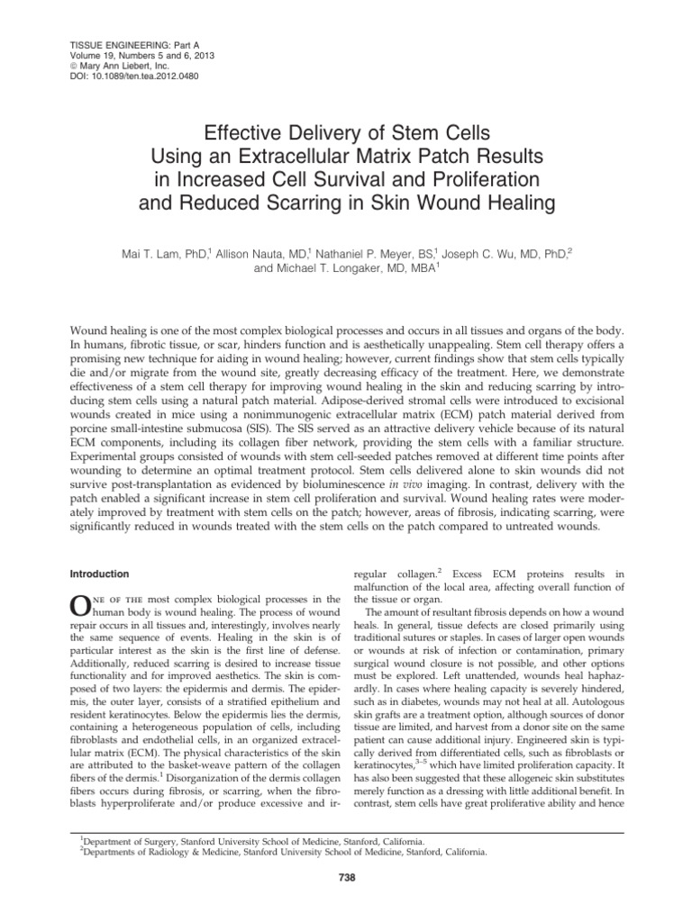 Effective Delivery of Stem Cells | PDF | Wound Healing | Scar