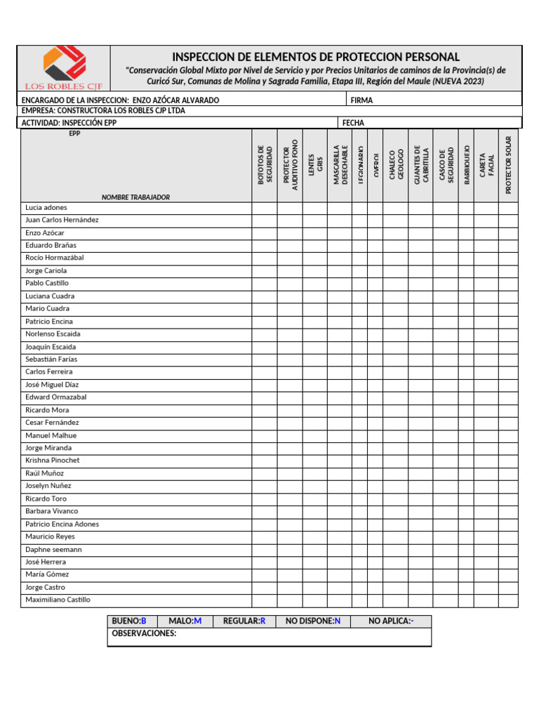 Inspeccion EPP | PDF