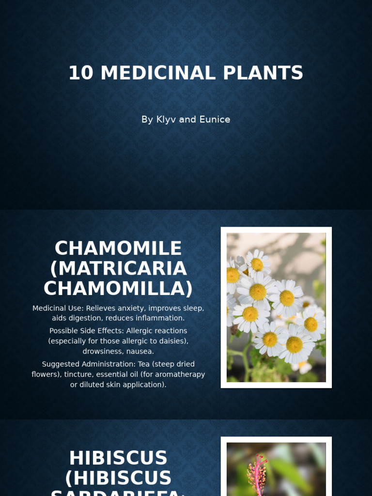 10 Medicinal Plants by Estoquia - Amante | PDF | Essential Oil | Aromatherapy
