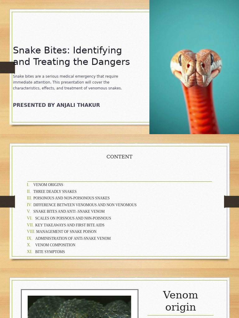 Snake-Bites-Identifying-and-Treating-the-Dangers[1] | PDF | Venom ...