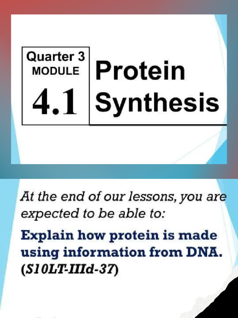 Grade 10 - Protein Synthesis | PDF