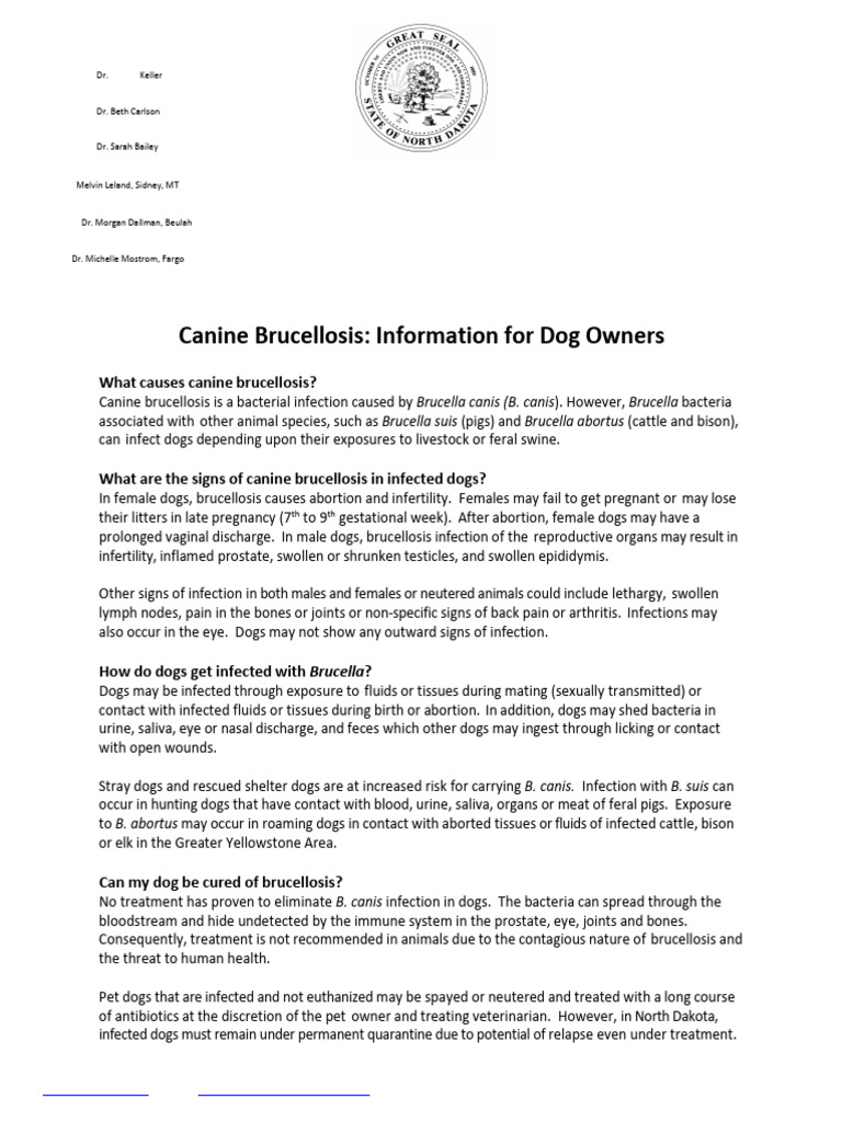 Canine Brucellosis Information For Dog Owners | PDF | Dogs | Medicine