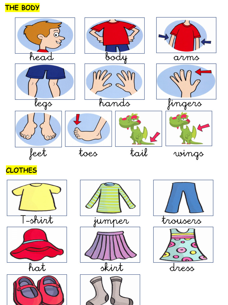 Body Parts, Clothes, and Phonics Guide | PDF