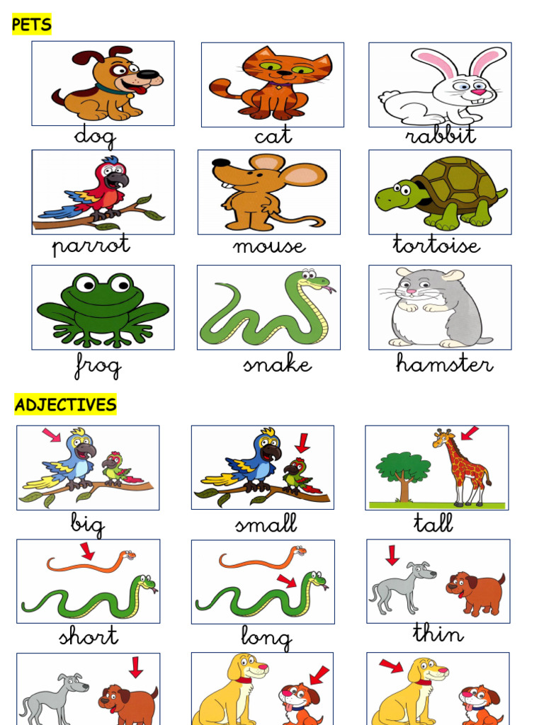 Pets, Adjectives | PDF