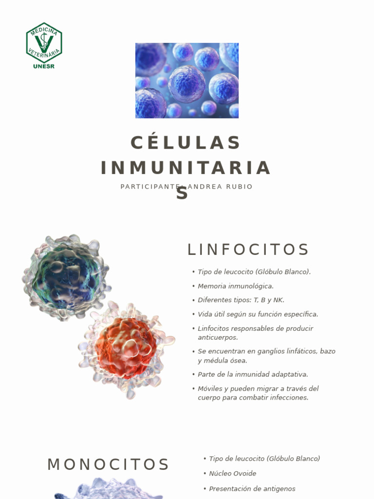 Células del inmunitario | PDF | Leucocito | Inflamación