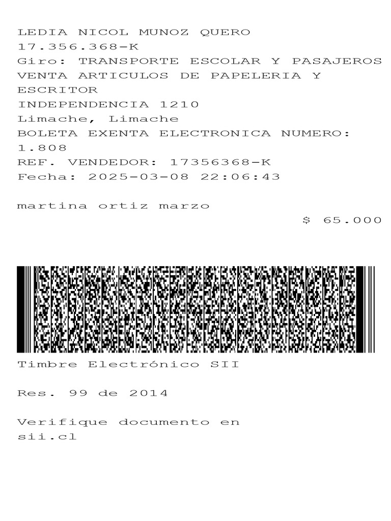 Boleta41 Folio1808 2025-03-08 | PDF