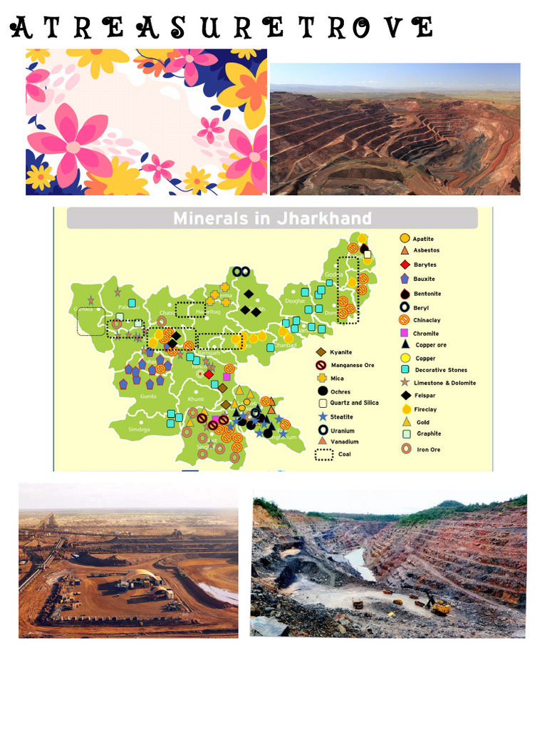 Bio Brochure Aip | PDF