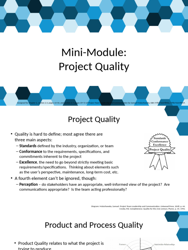Mini Module 9 - Project Quality | PDF | Leadership | Business