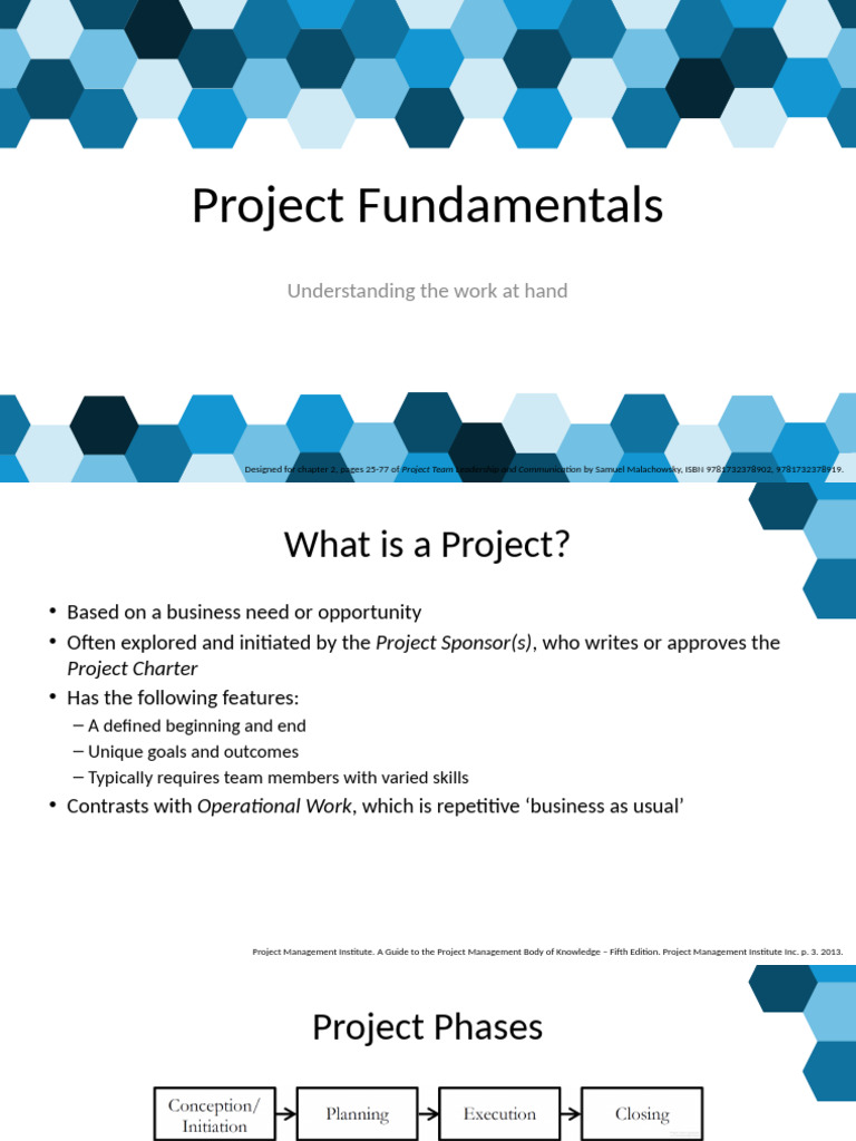Chapter 2 - Project Fundamentals | PDF | Project Management | Leadership