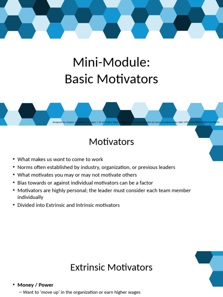 Mini Module 4 - Basic Motivators | PDF