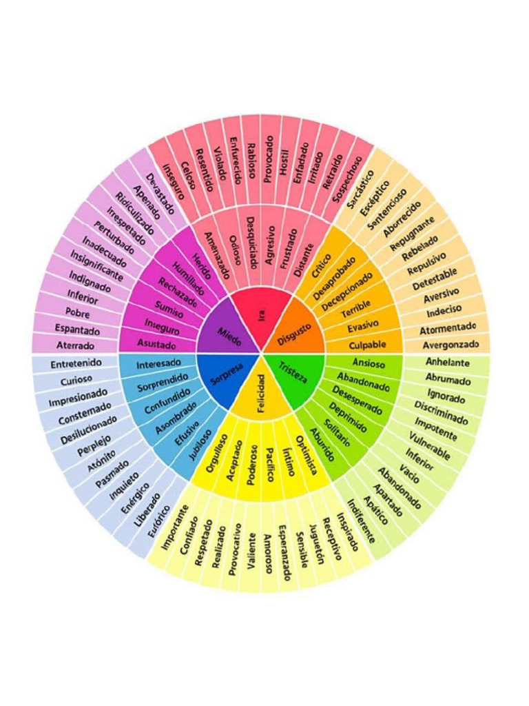 Ruleta de las emociones | PDF