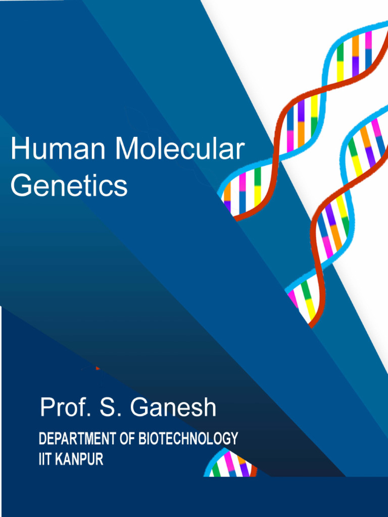Human Molecular Genetics - English | PDF | Rna Splicing | Gene