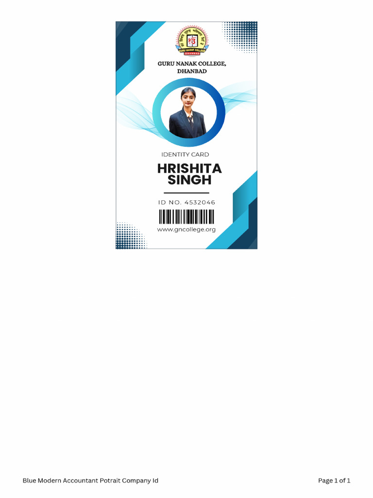 Blue Modern Accountant Potrait Company Id-2 | PDF