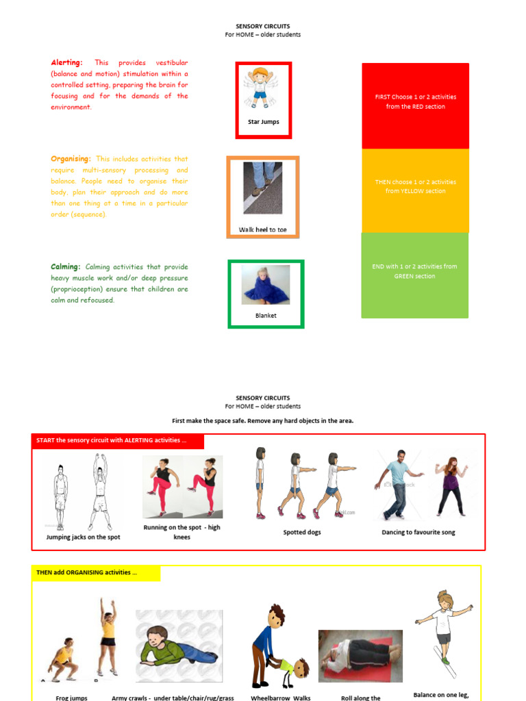 Sensory Circuits for Home Activities | PDF | Neuroscience | Nervous System