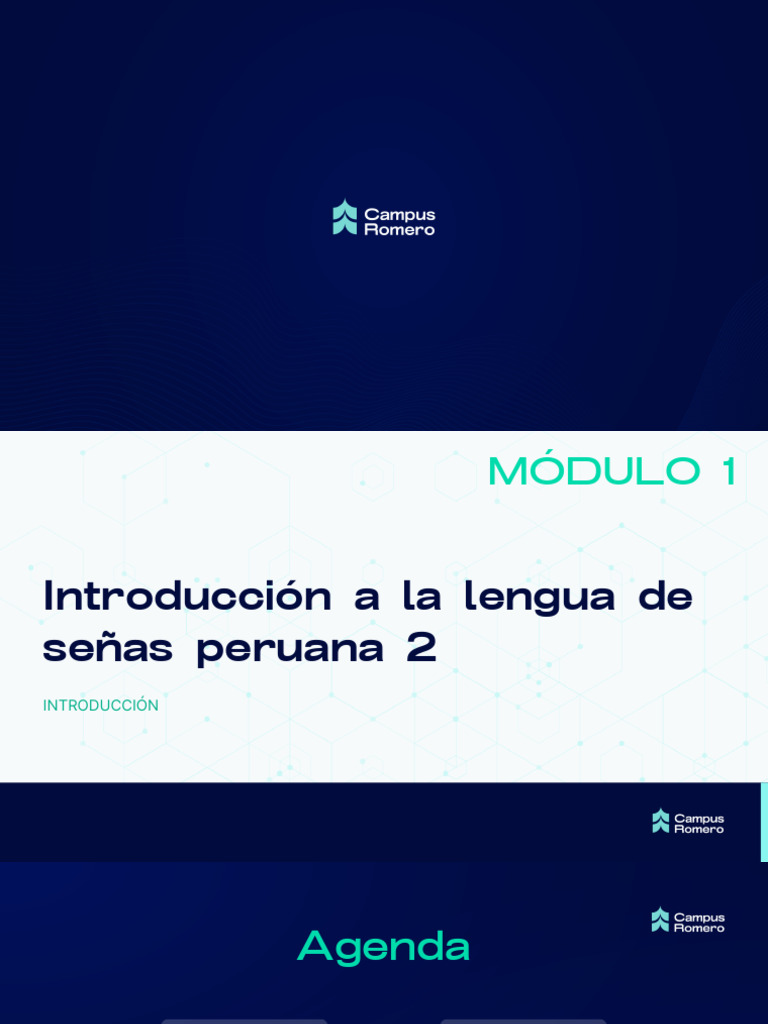 Módulo I LSP 2 | PDF