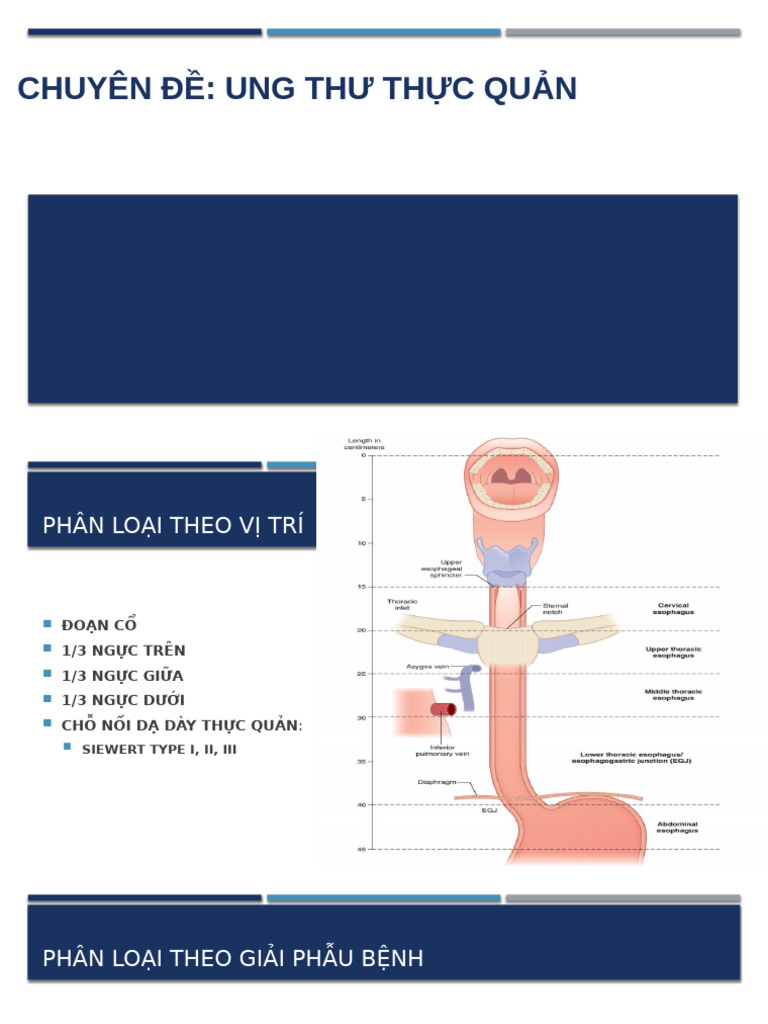 Ung Thư TH C Qu N | PDF