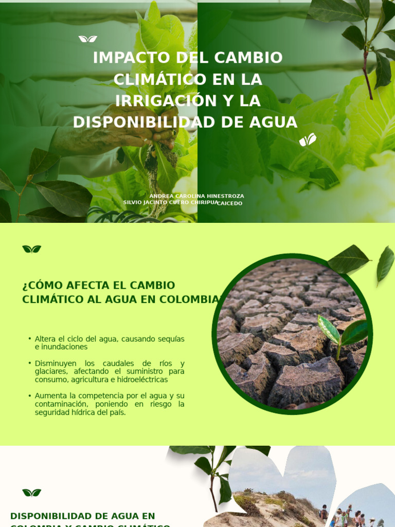 Exposicion Intro | PDF