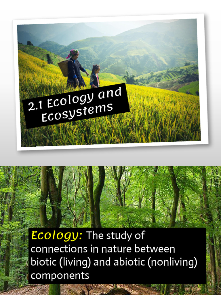 2.1 - Individuals, Populations, Communities and Ecosystems - 2 | PDF ...