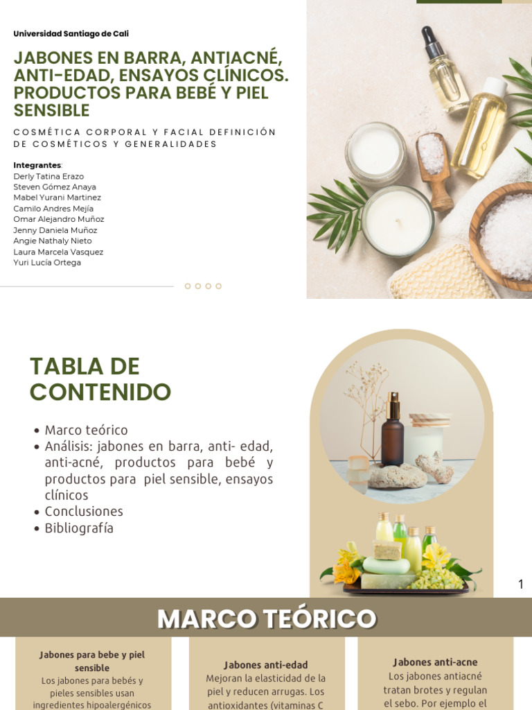 Presentación Oral Cosméticos 2do Corte | PDF | Jabón