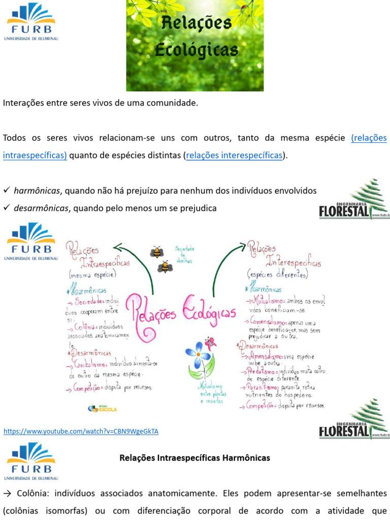 Interações Ecológicas entre Seres Vivos | PDF | Parasitismo | Ecologia