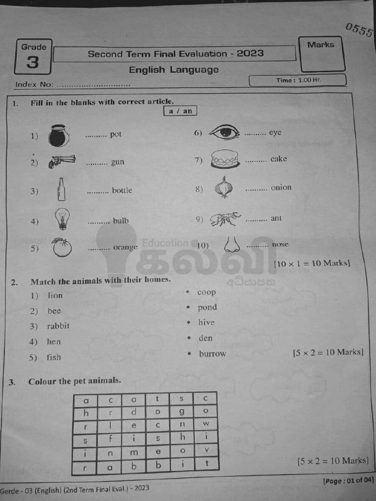 gr3 Ta English 2023 Term - 2 | PDF