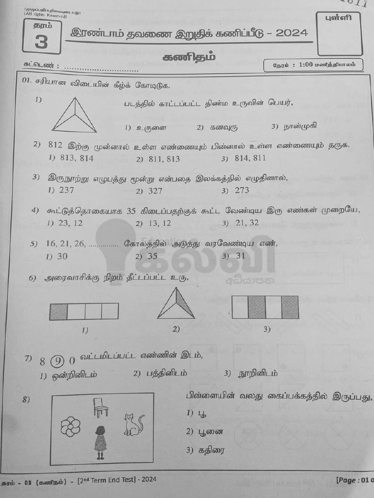 Gr3 Ta Mathematics 2024 Term 2 | PDF