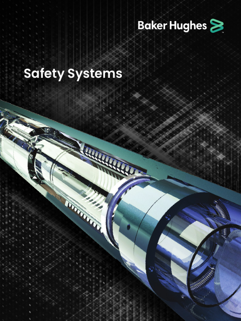 Safety Systems Cat | PDF | Engineering | Computational Fluid Dynamics