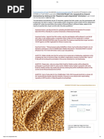 FCI E-Auction Guidelines | PDF | Auction