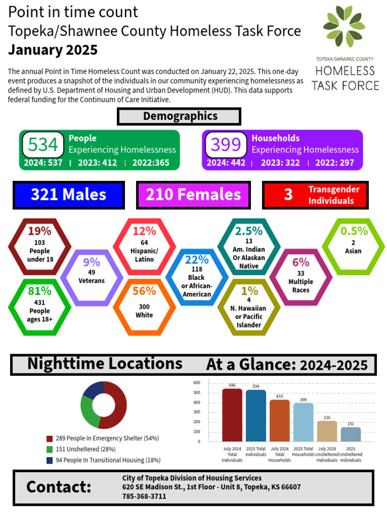 Point in Time Count Jan. 2025 | PDF | Homelessness | Race And Ethnicity ...