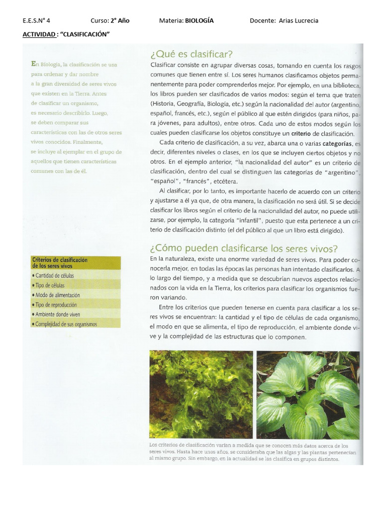 Clasificación de Seres Vivos en Biología | PDF