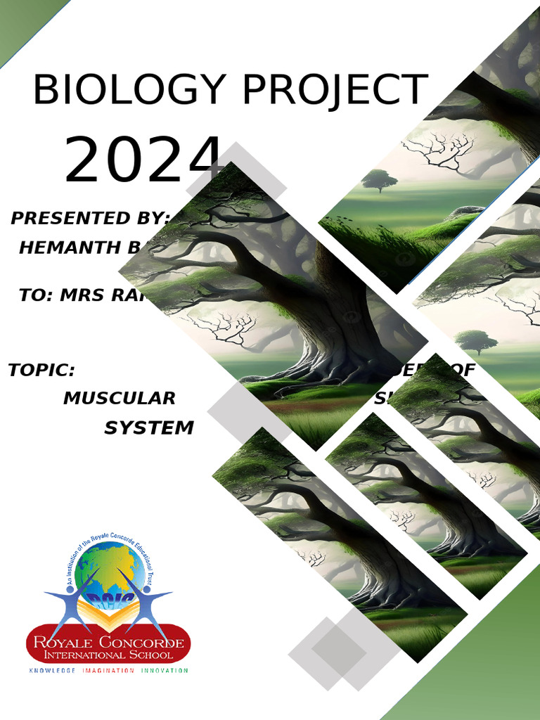 Muscular and Skeletal Disorders Project | PDF