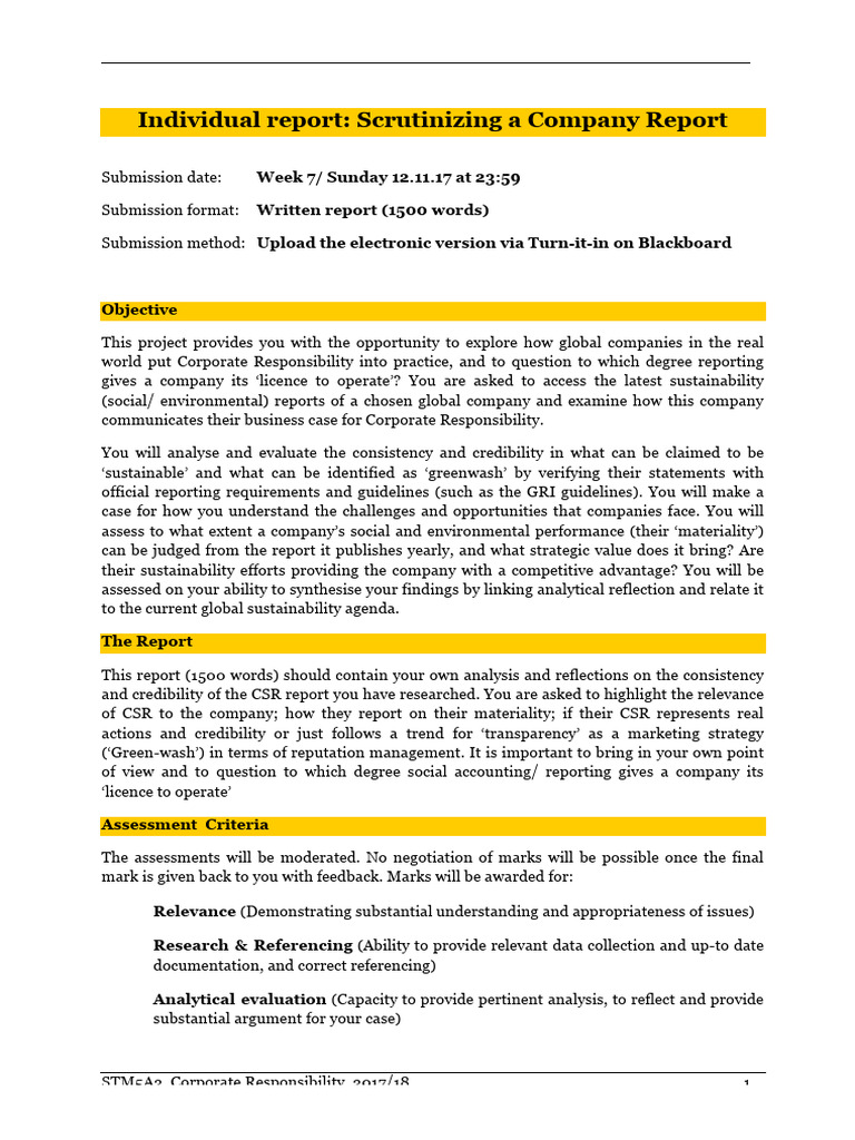 Scrutinizing A Company Report | PDF | Corporate Social Responsibility