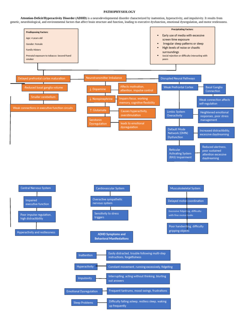 PATHOPHYSIOLOGY OF ADHD | PDF | Attention Deficit Hyperactivity ...