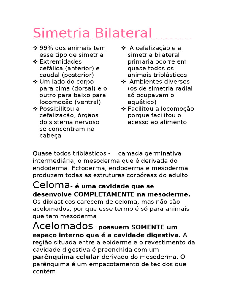 Simetria Bilateral | PDF
