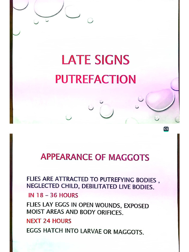 putrefactive changes | PDF