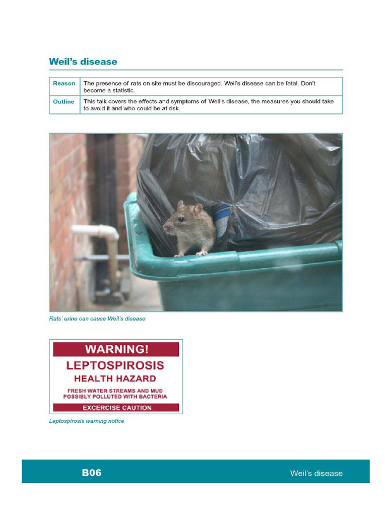 Weil's Disease | PDF