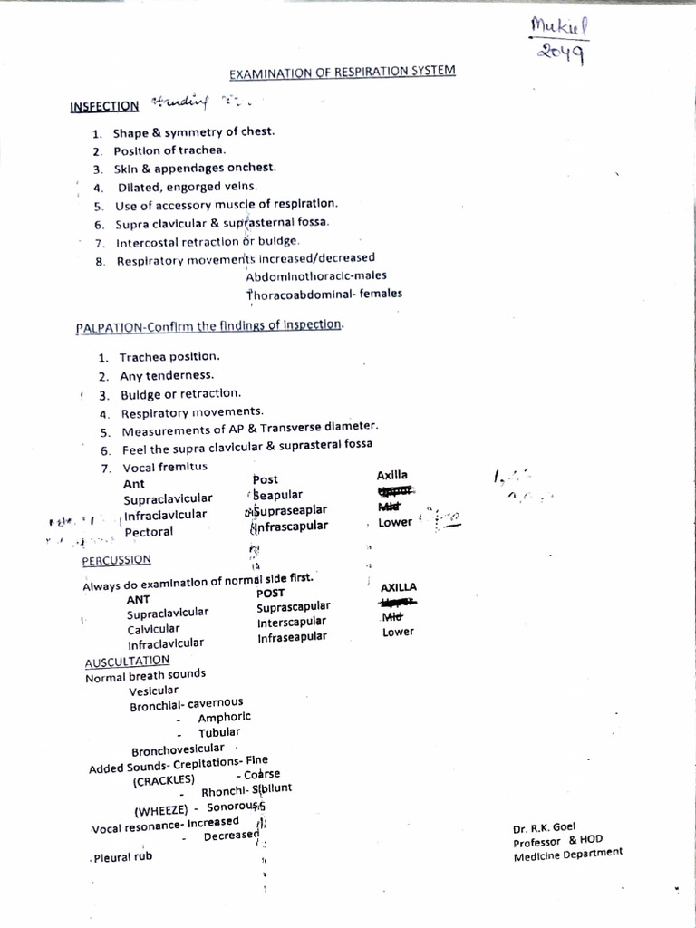 Respiratory system examination | PDF