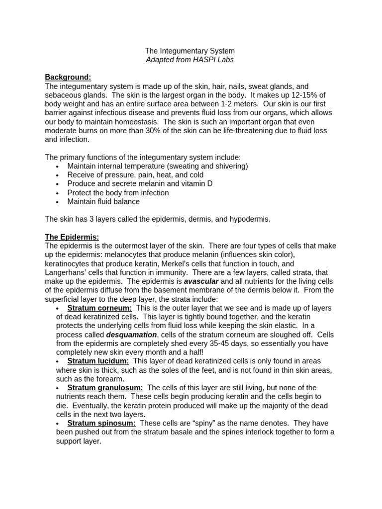 The Integumentary System Reading and Questions | PDF | Epidermis | Skin