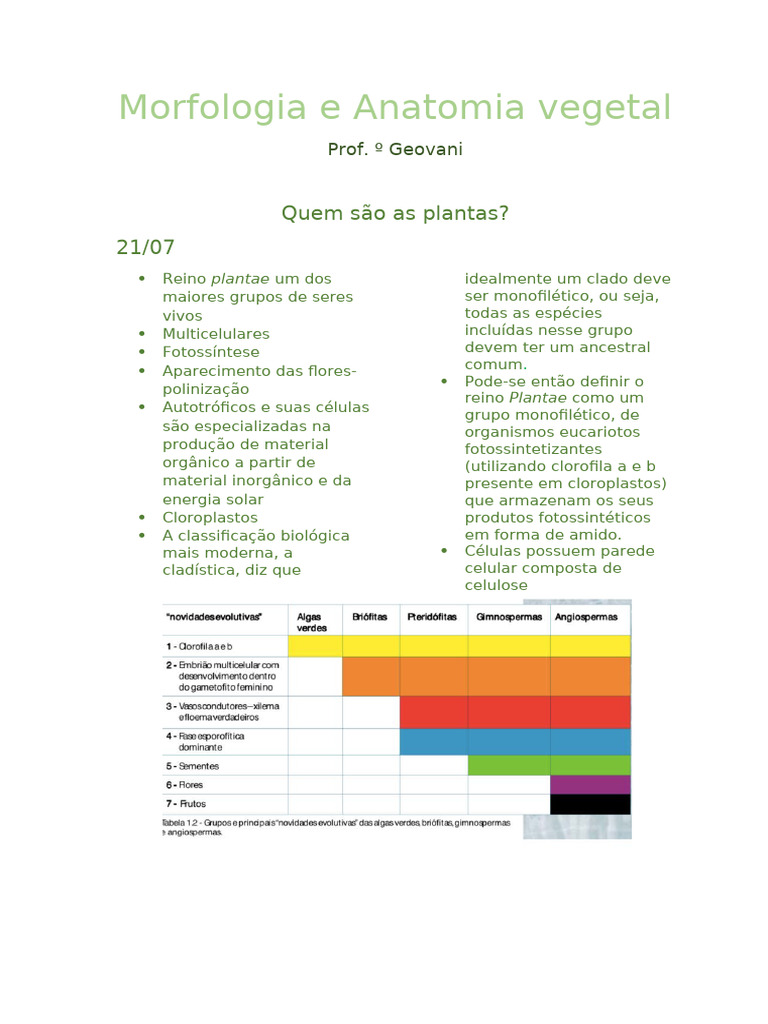 Morfologia e Anatomia Vegetal - Caderno | PDF | Raiz | Parede celular