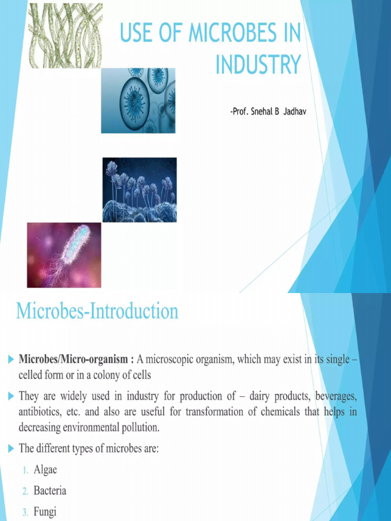 Application of Microbes | PDF