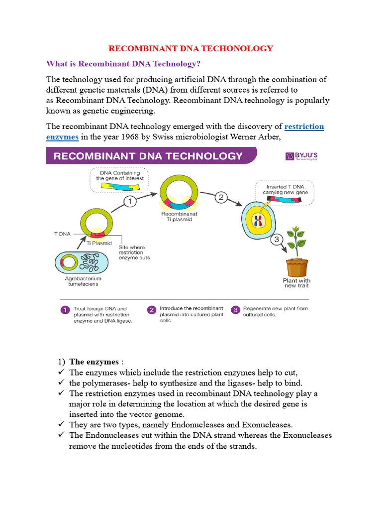 Overview of Recombinant DNA Technology | PDF | Molecular Cloning | Dna