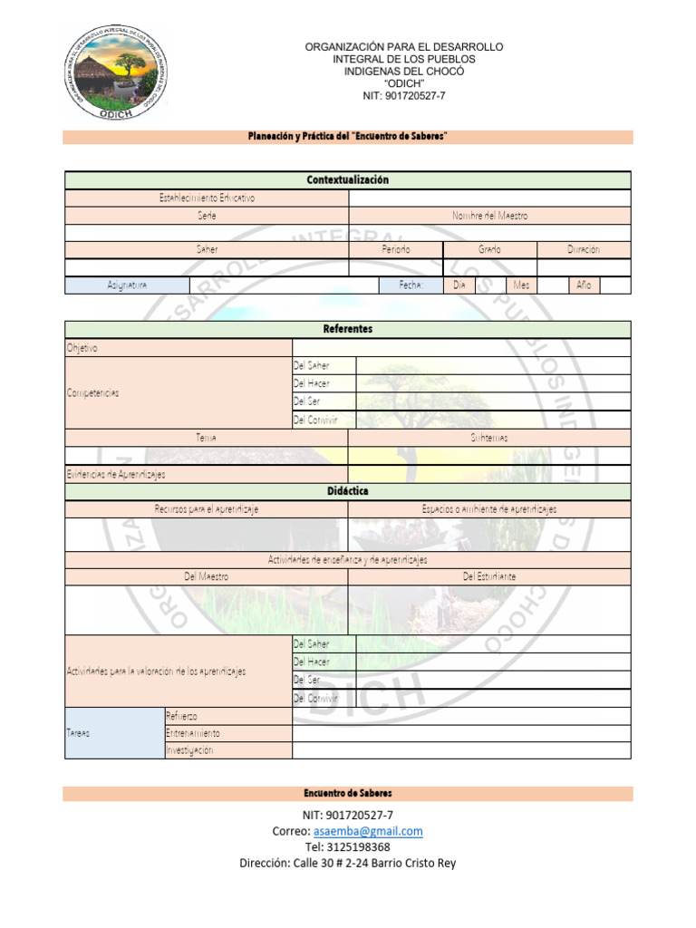 Formato para La Planeacion y Preparacion de Las Clases 2025 | PDF | Aprendizaje | Enseñando
