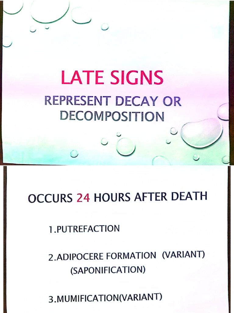 Late Signs of Death | PDF